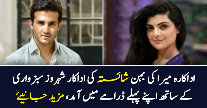 Shahroz Sabzwari to star opposite Meera's sister Shaista Abbas in 'Seep ...