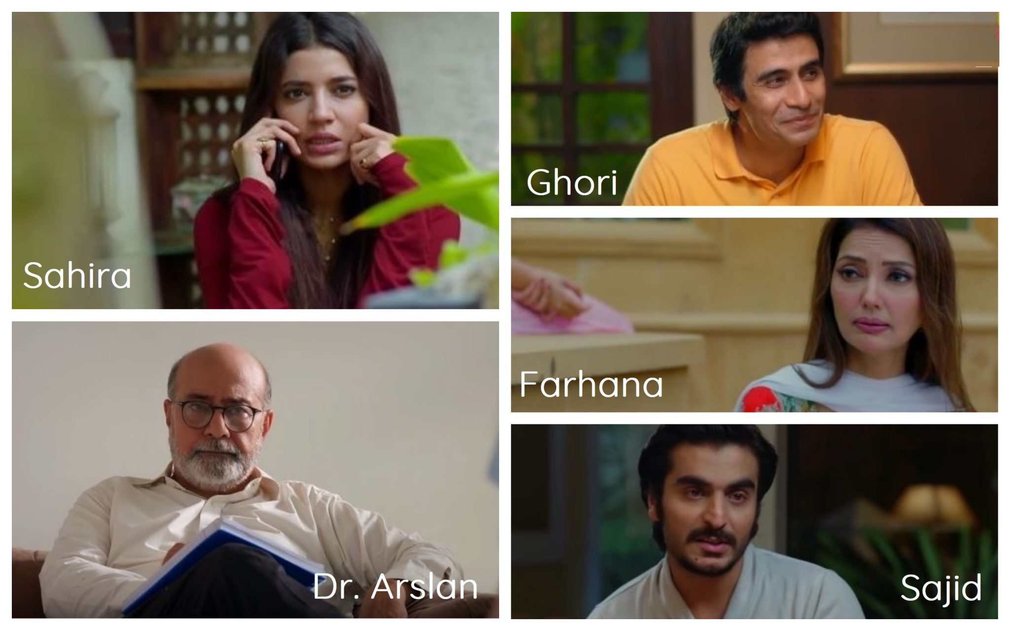 Ye Dil Mera Episode 1 to 12 - An Overview | Reviewit.pk