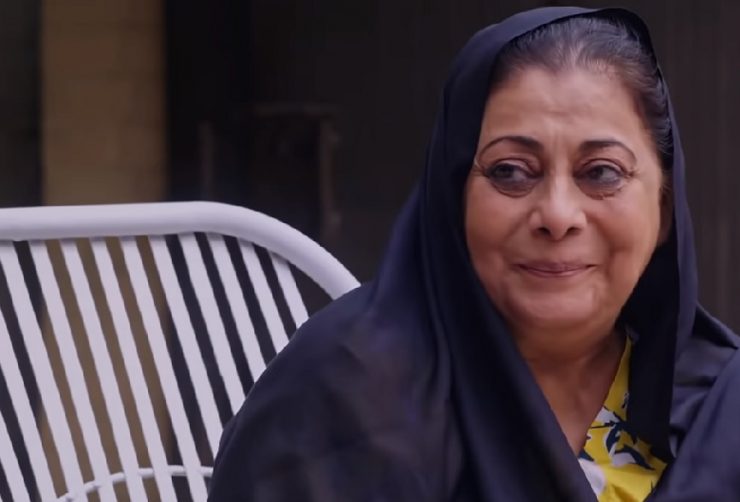 Best Performances From Current Pakistani Dramas | Reviewit.pk