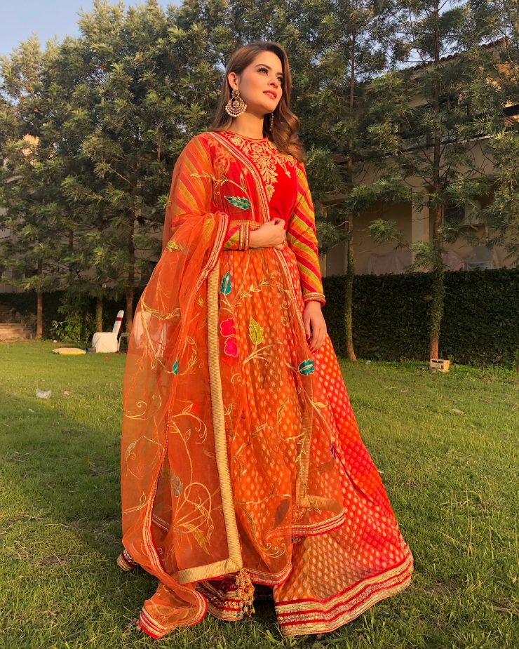 Top 10 Beautiful Dresses Worn By Minal Khan | Reviewit.pk