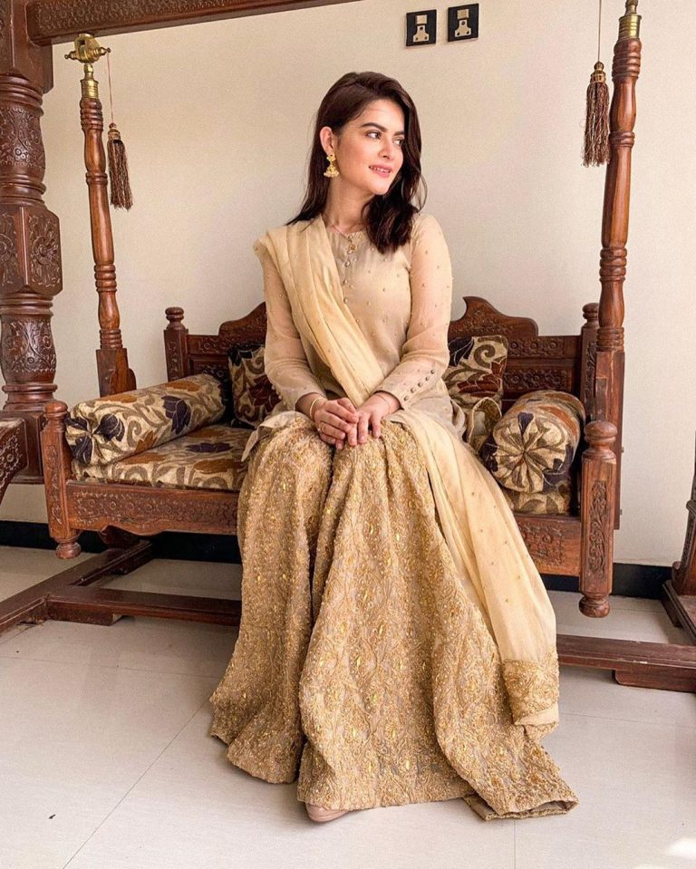 Top 10 Beautiful Dresses Worn By Minal Khan | Reviewit.pk