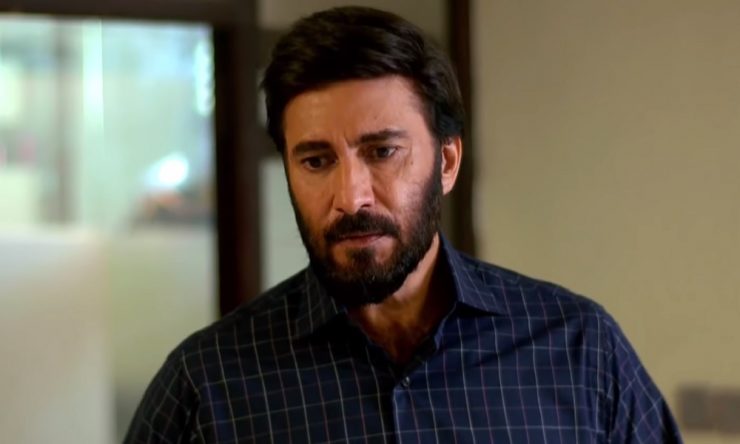 Aijaz Aslam And Amna Ilyas To Appear In A Serial For The First Time ...