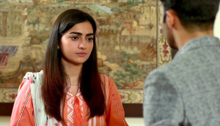 Pakistani Actors Who Owned Their Characters This Season | Reviewit.pk