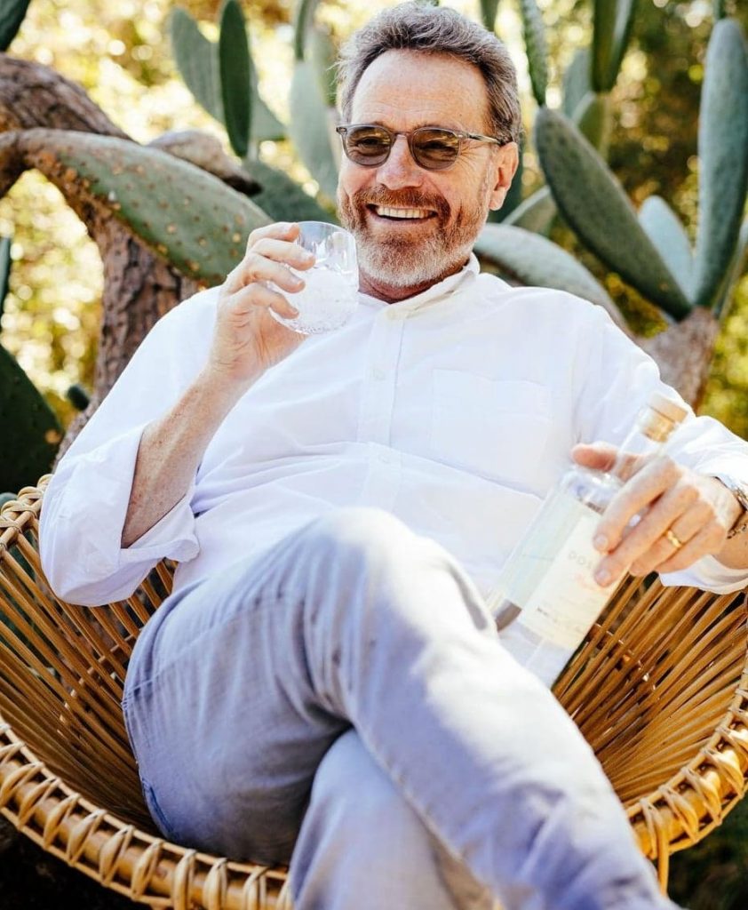 Breaking Bad Cast In Real Life 2020 | Reviewit.pk