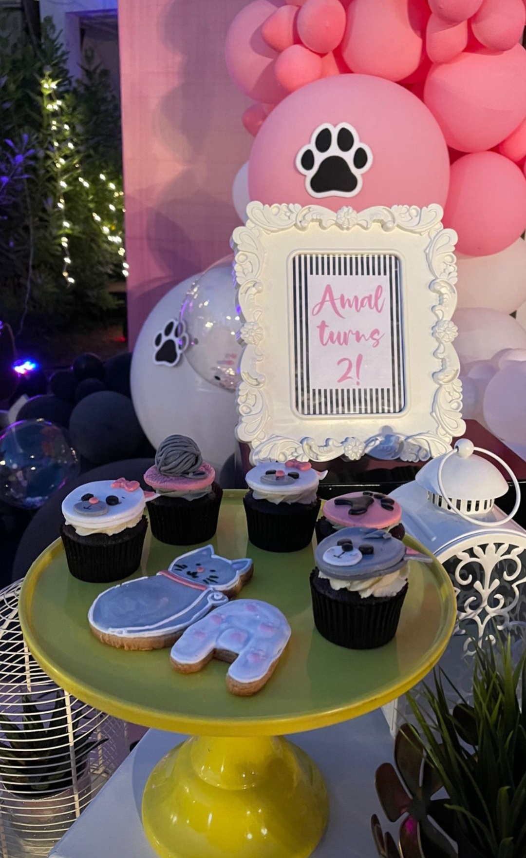 Amal Muneeb Turns Two - Beautiful Birthday Pictures | Reviewit.pk