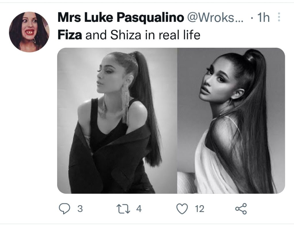 Shiza and Fiza Hilarious Memes Go Viral on Twitter | Reviewit.pk