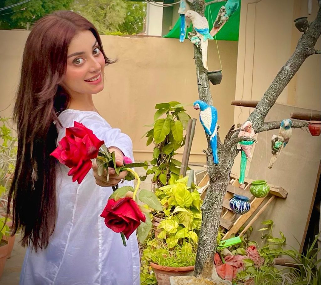 Alizeh Shah's Recent Captivating Clicks | Reviewit.pk