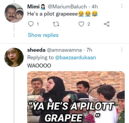 You Will Be Surprised To See Pilot Kid From Viral Wow Grape Meme ...