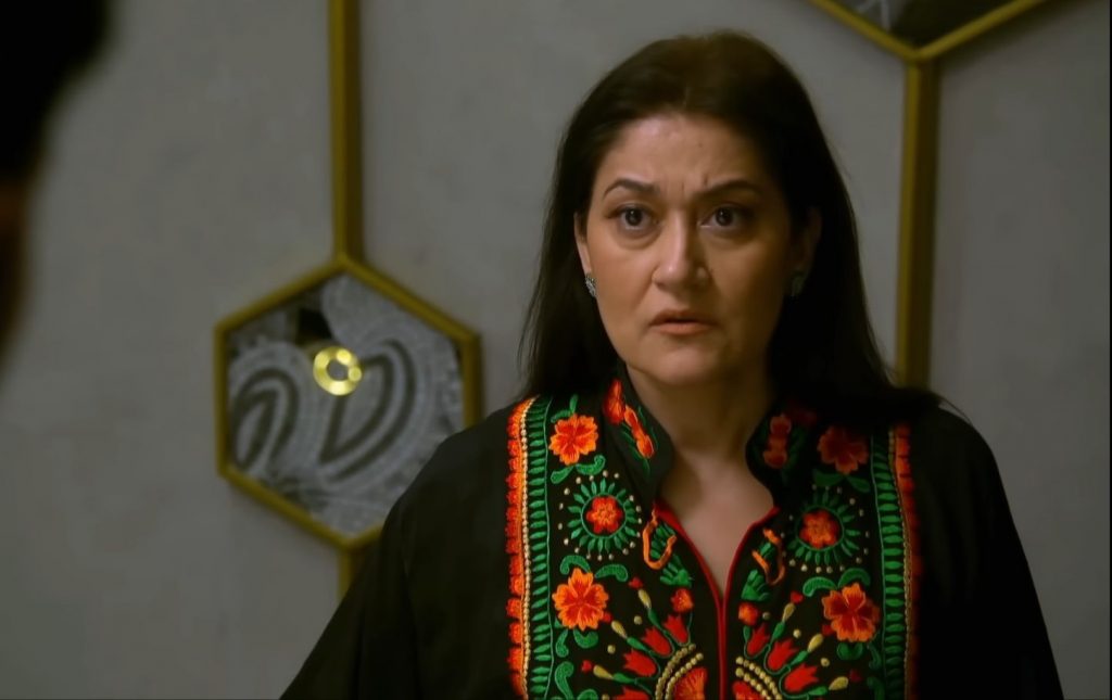 Best Pakistani Female Characters in 2022 | Reviewit.pk