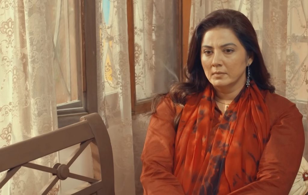 Best Pakistani Female Characters in 2022 | Reviewit.pk