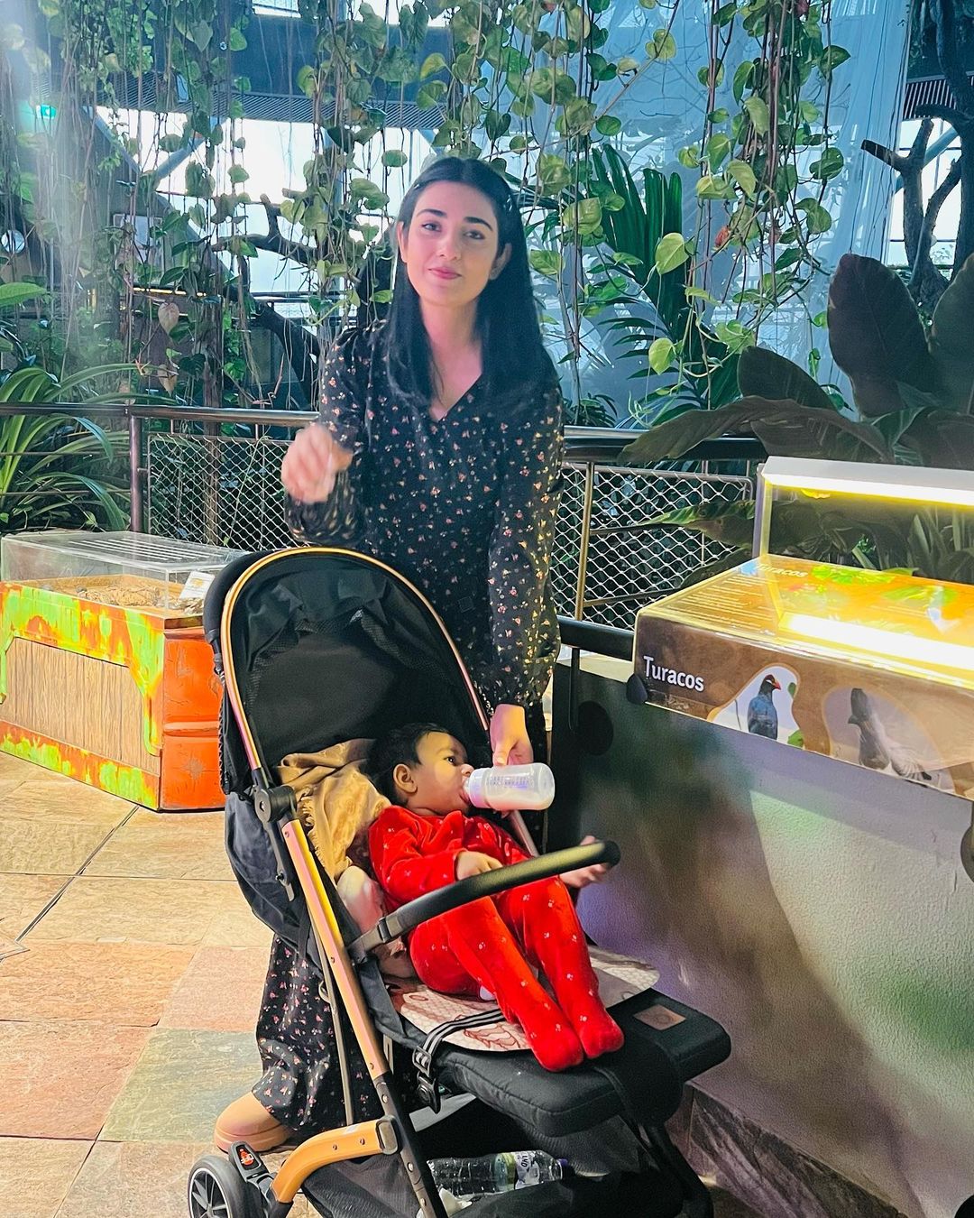 Sarah Khan and Falak Shabir Adorable Pictures from Burj Khalifa Top | Reviewit.pk