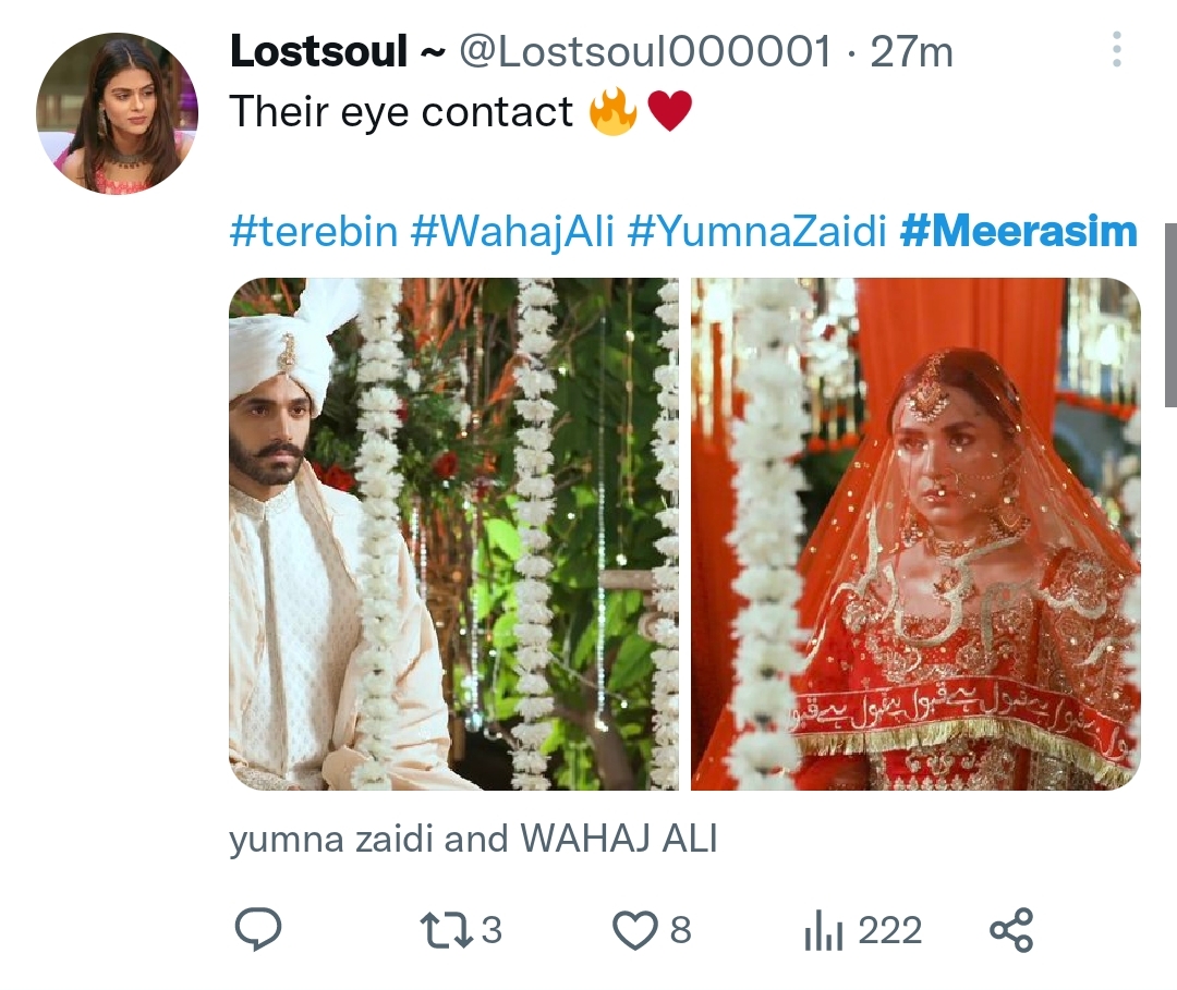 Tere Bin Fans in Love with Meerab & Murtasim's Wedding | Reviewit.pk