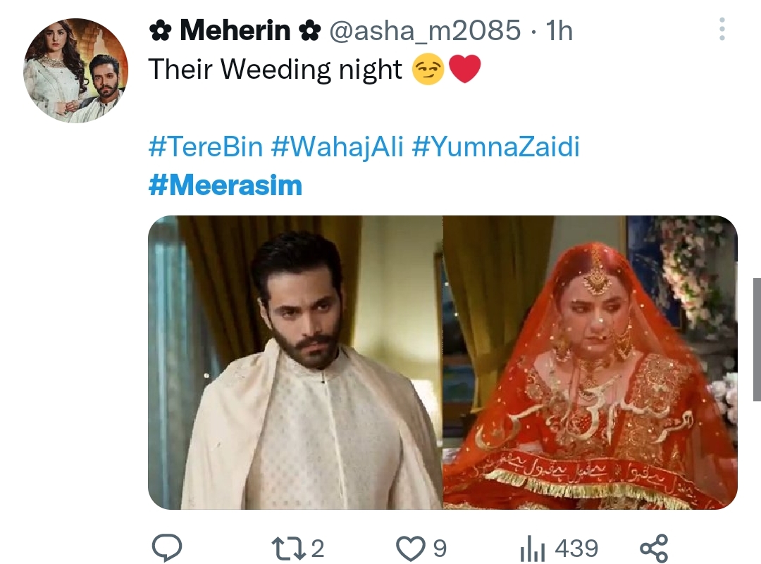 Tere Bin Fans in Love with Meerab & Murtasim's Wedding | Reviewit.pk