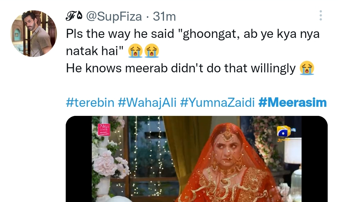 Tere Bin Fans in Love with Meerab & Murtasim's Wedding | Reviewit.pk