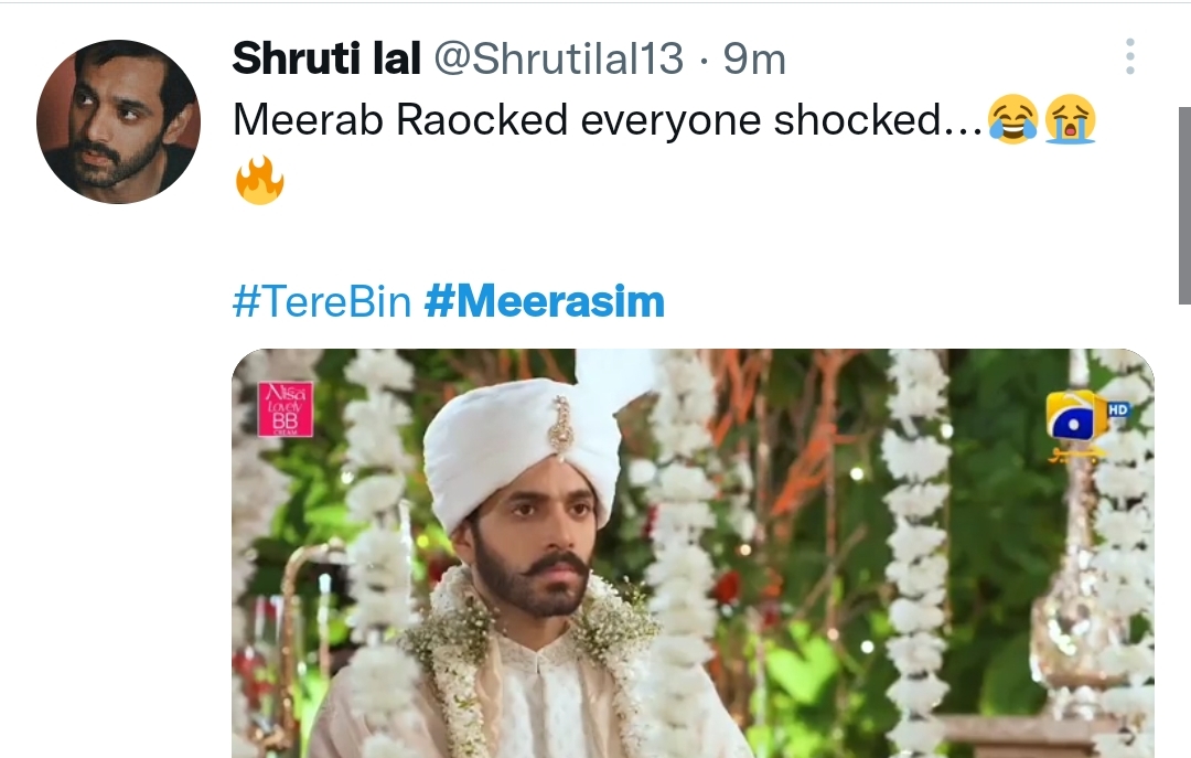 Tere Bin Fans in Love with Meerab & Murtasim's Wedding | Reviewit.pk