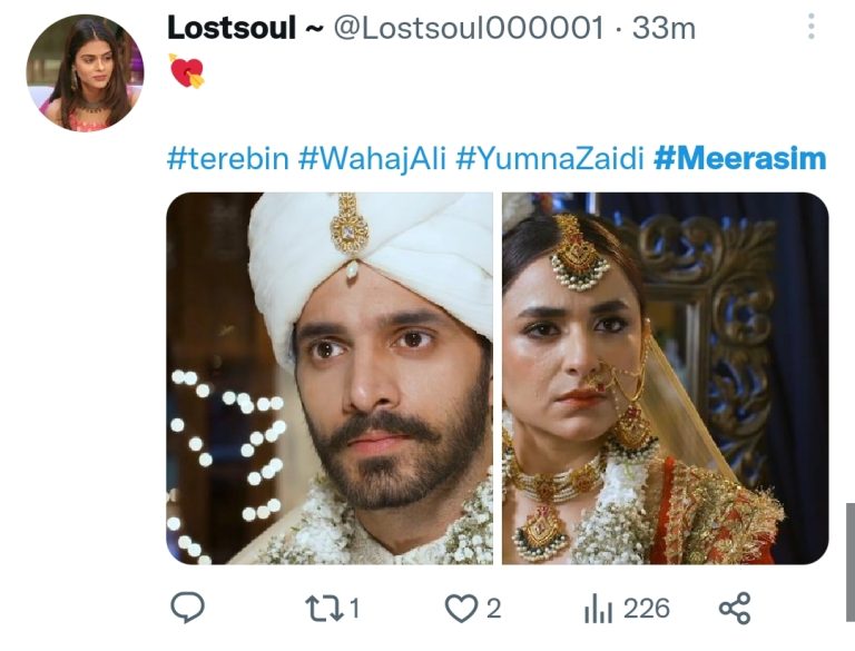 Tere Bin Fans in Love with Meerab & Murtasim's Wedding | Reviewit.pk