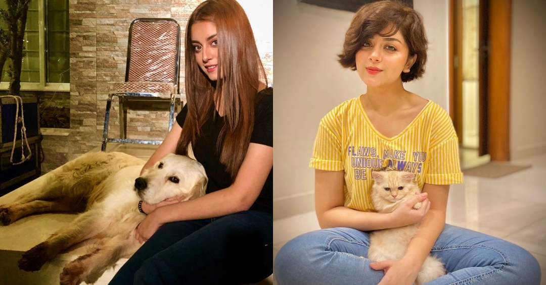 Famous Pakistani Actor Alizeh Shah Transformation Over The Years ...