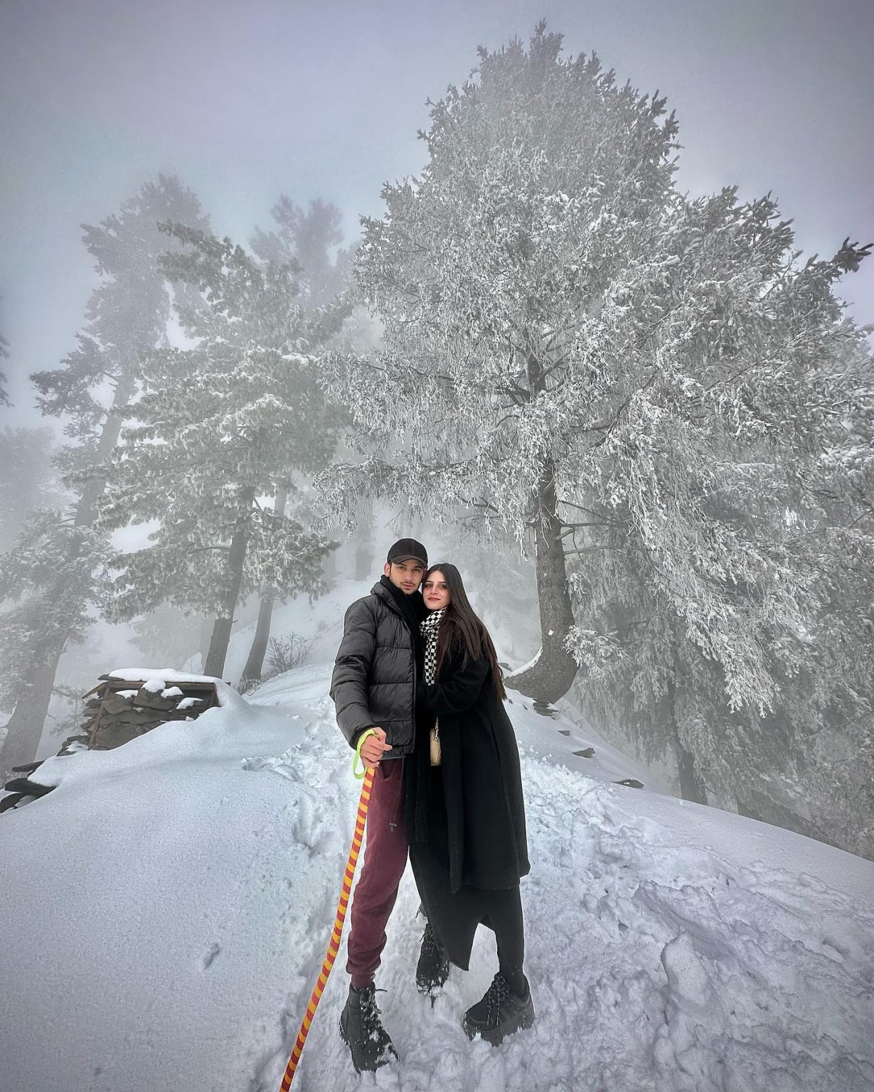 Is YouTuber Maaz Safder Opening Five Star Resort In Swat | Reviewit.pk