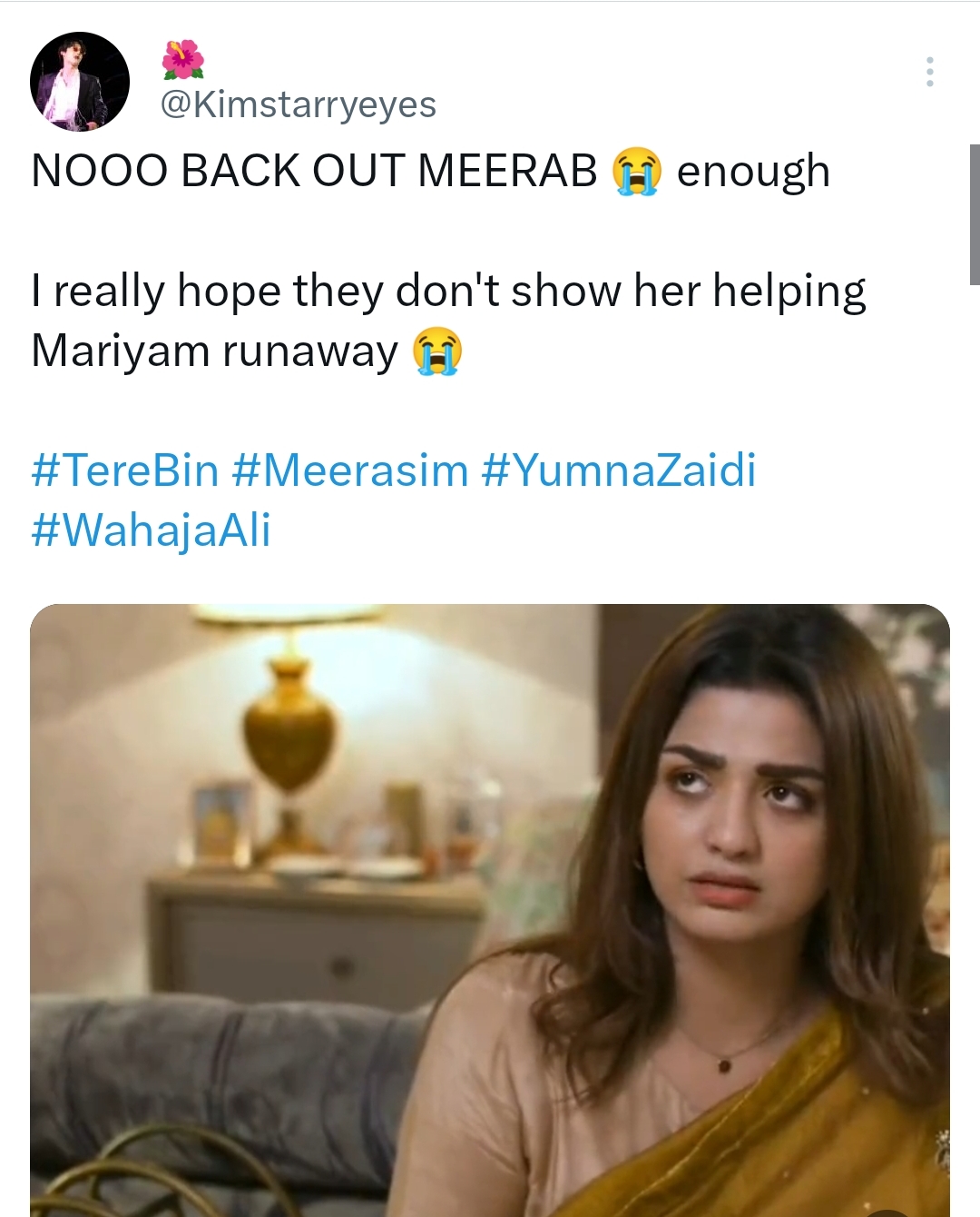 Viewers Angry on Tere Bin's Badly Written Character Meerab | Reviewit.pk