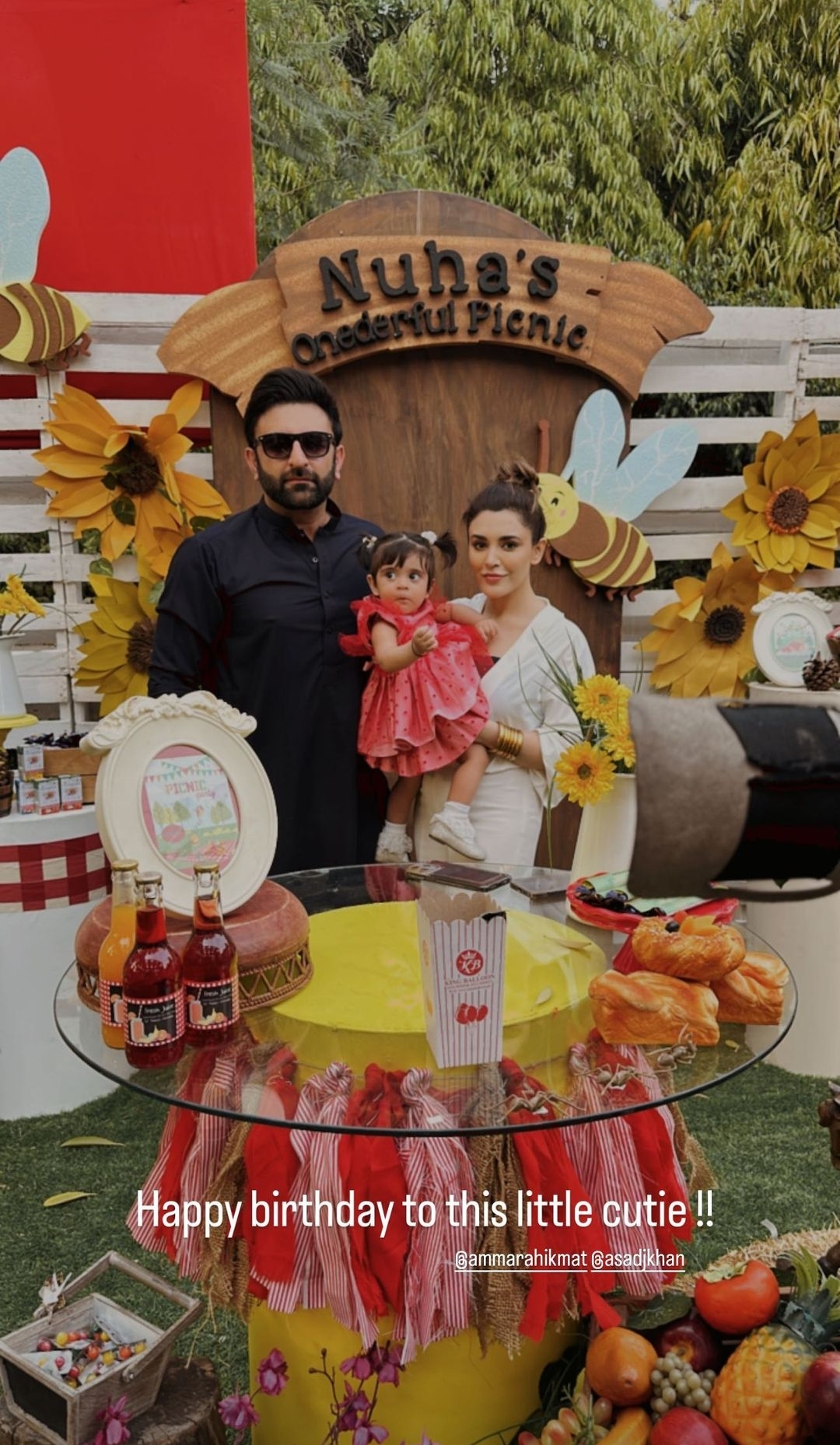 Ammara Hikmat Daughter's Picnic Themed Birthday Party | Reviewit.pk