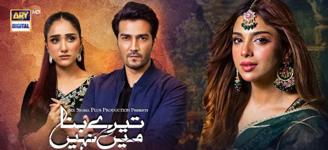 Is Tere Bina Main Nahi Copy Of Indian Film Aitraaz | Reviewit.pk