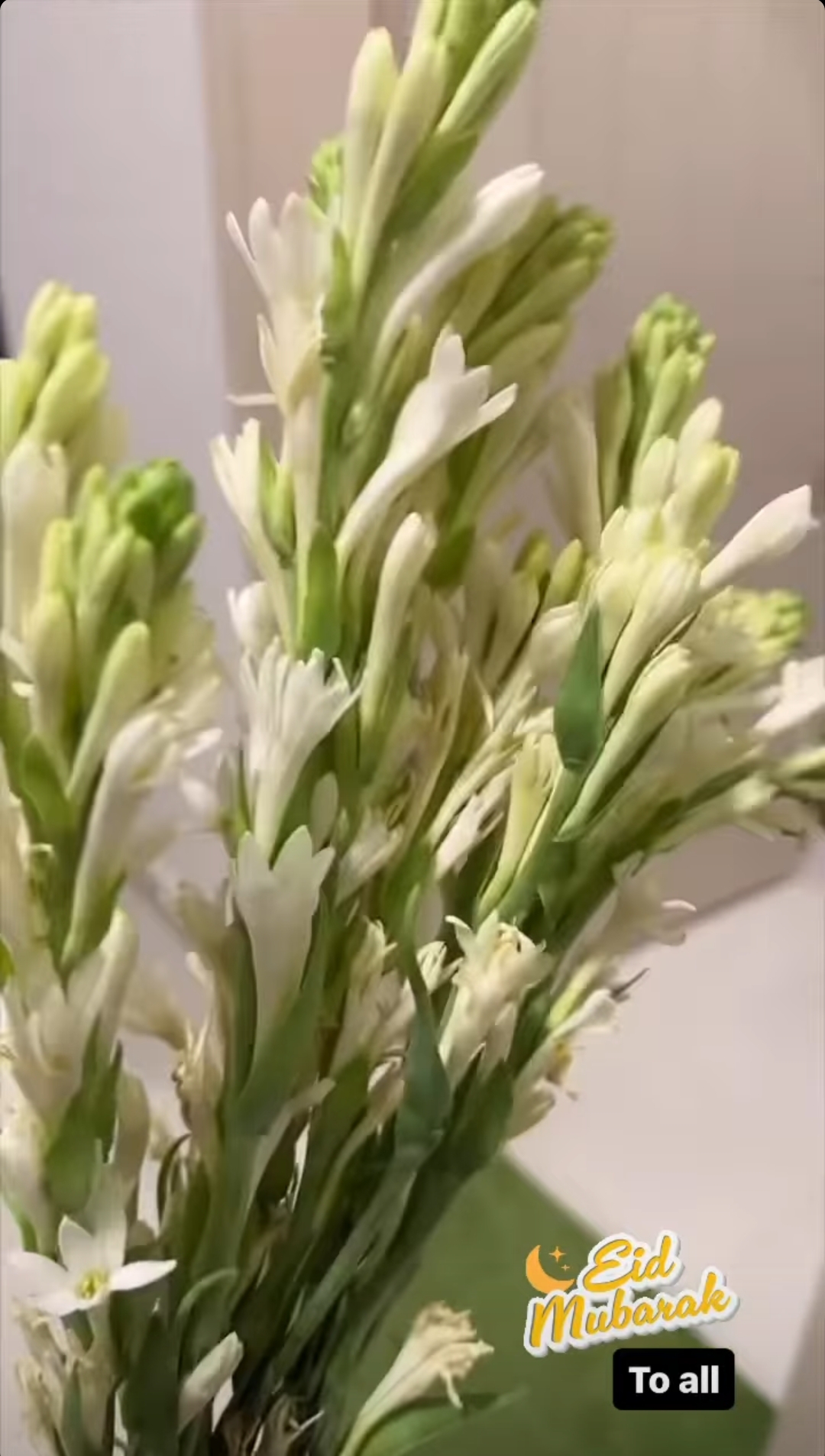 Sarah Khan & Falak Shabir Adorable Eid Clicks | Reviewit.pk