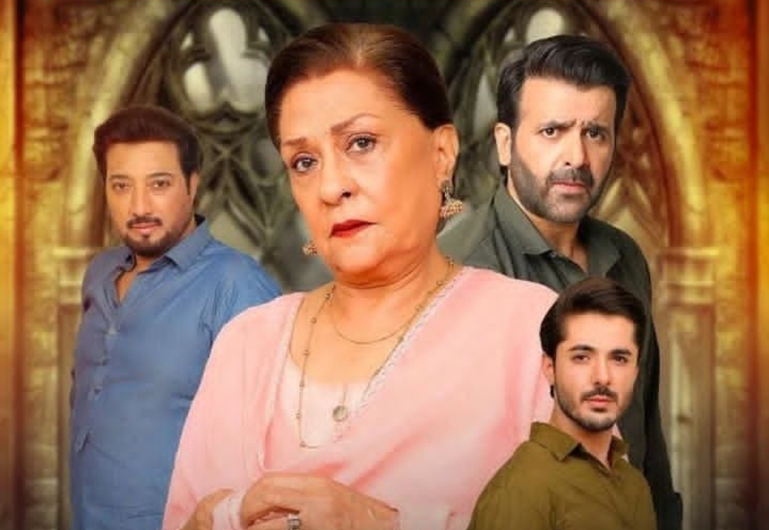 Baby Baji Cast Celebrates The Success Of The Show | Reviewit.pk