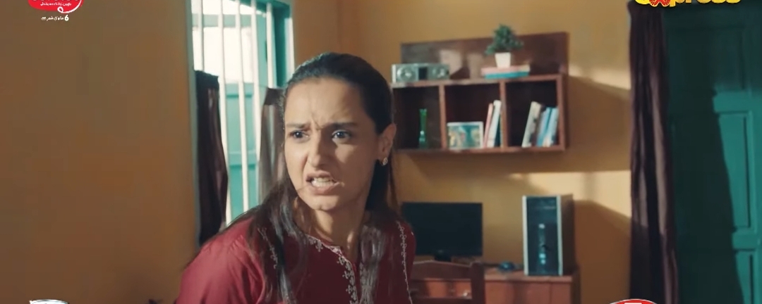 Razia Last Episode - Fans Praise Impressive Ending | Reviewit.pk
