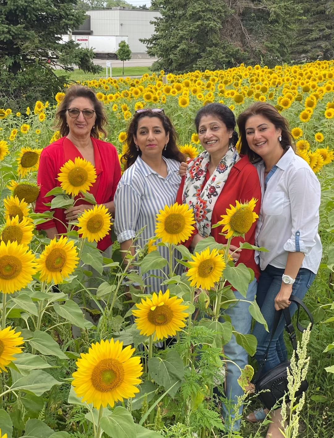 Adorable Family Pictures of Nauman Ijaz | Reviewit.pk