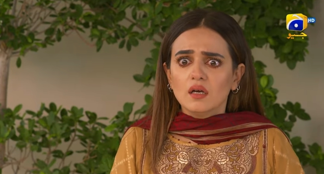 Maa Nahi Saas Hoon Main Last Episode Public Reaction | Reviewit.pk