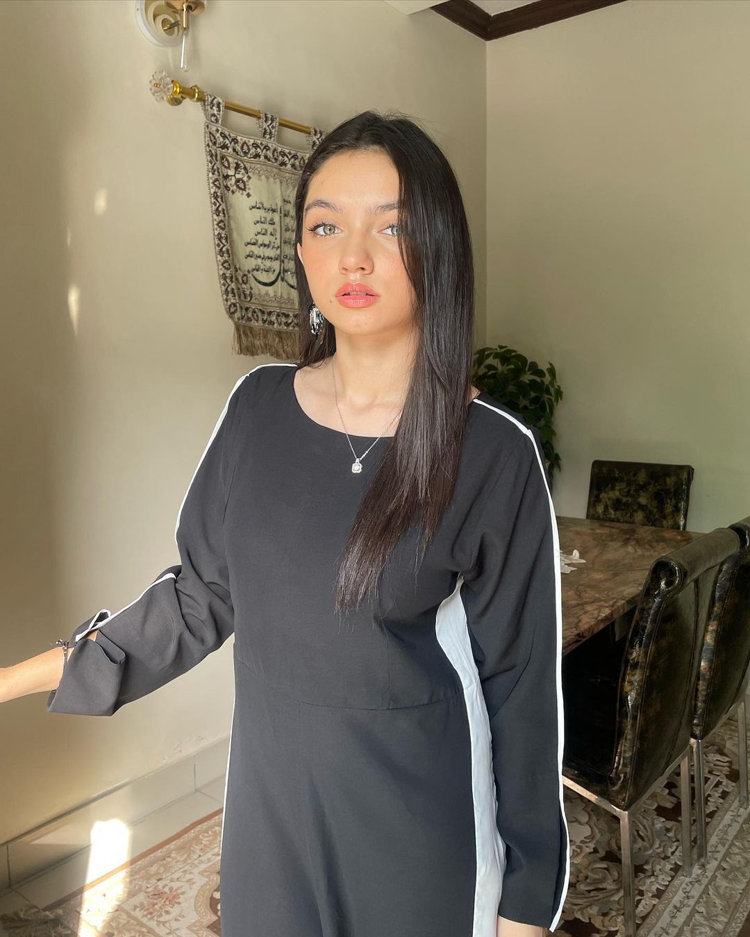 Aina Asif Beautiful New Pictures With Brother | Reviewit.pk