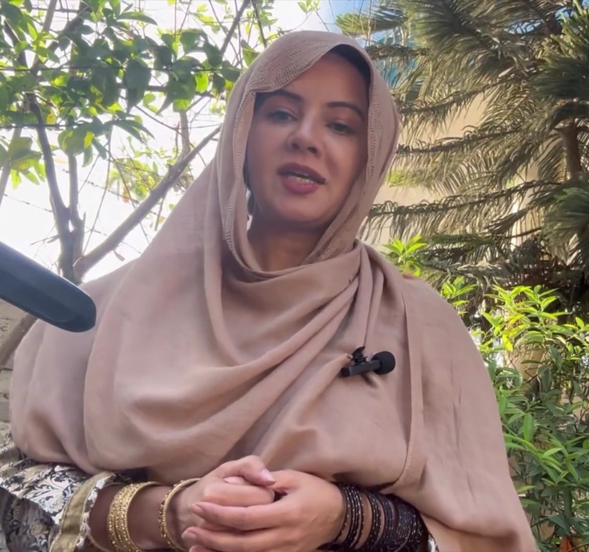 Rabi Pirzada Agrees With Adnan Siddiqui Calling Women Houseflies ...