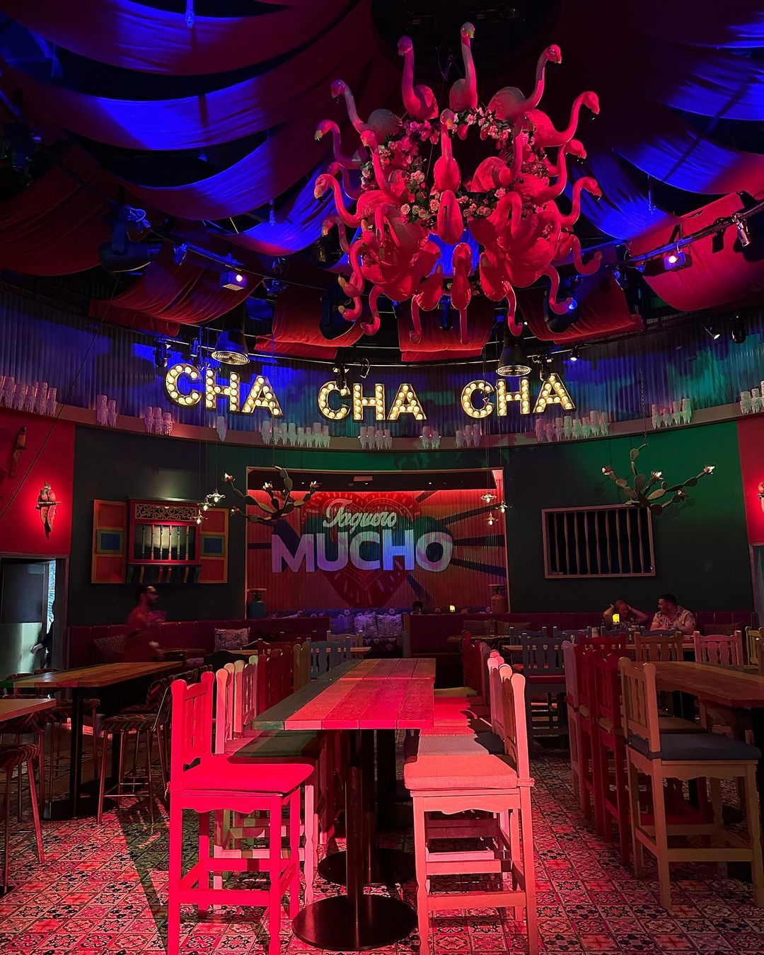 Shagufta Ejaz's Luxury Trip to Dubai Continues | Reviewit.pk