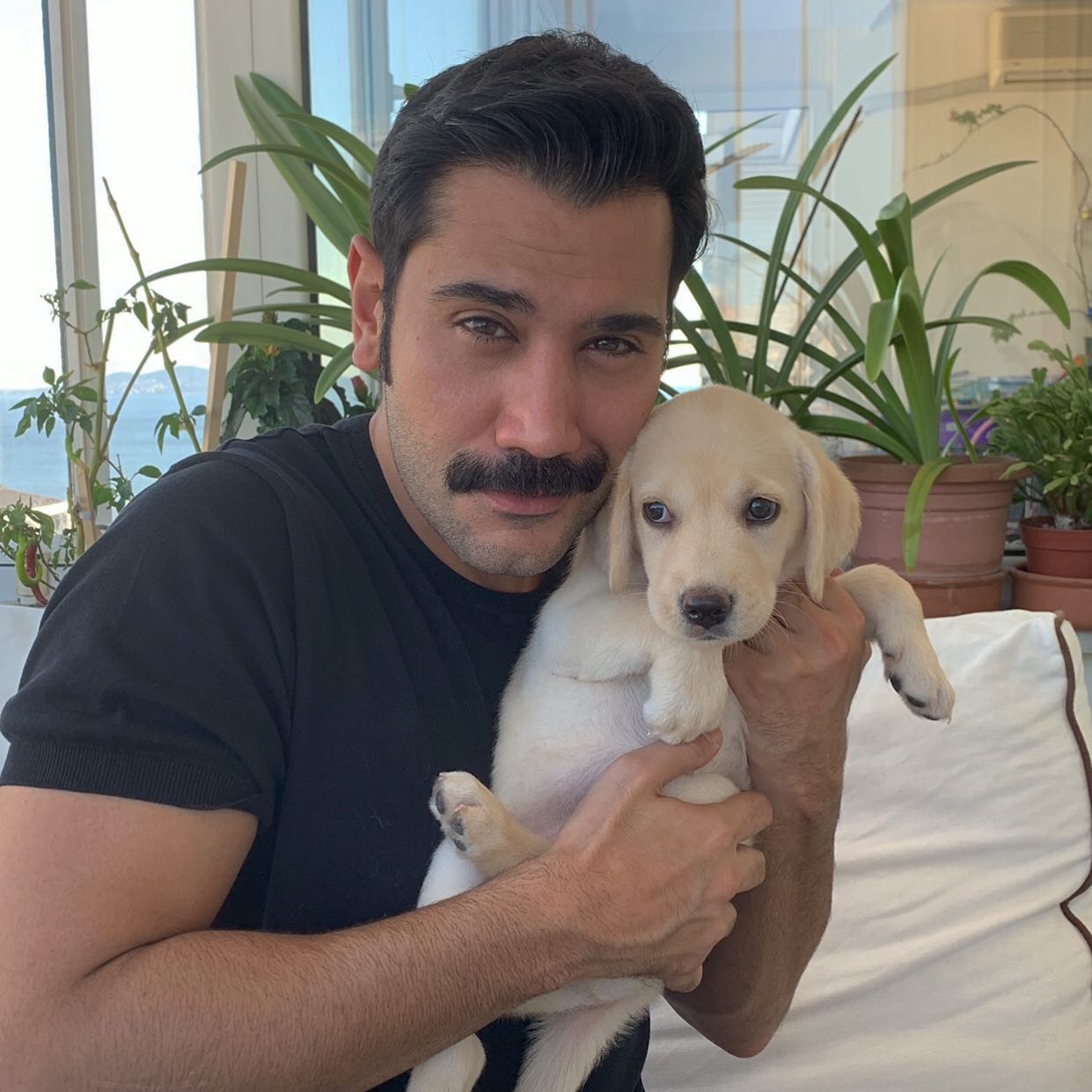 Sultan Salahuddin Ayyubi - Cast, Schedule And Timings | Reviewit.pk