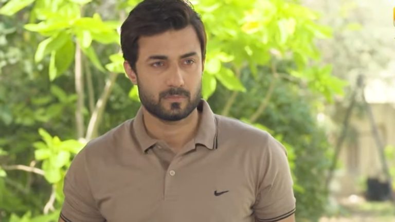 Shiddat Last Episode - Fans' Mixed Reactions On Unexpected Ending ...