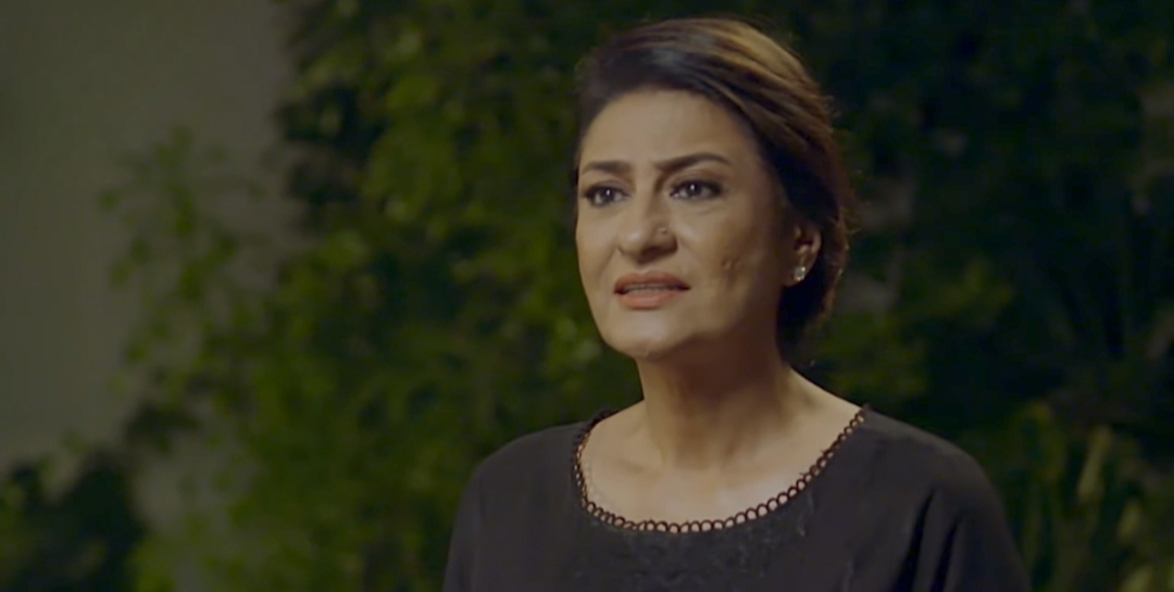 Noor Jahan Episode 23 - Fans Love Noor Bano's Revenge from Noor Jahan ...