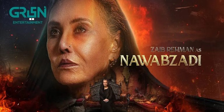 Green Entertainment's Mega Drama Serial Duniya Pur Teasers Out ...