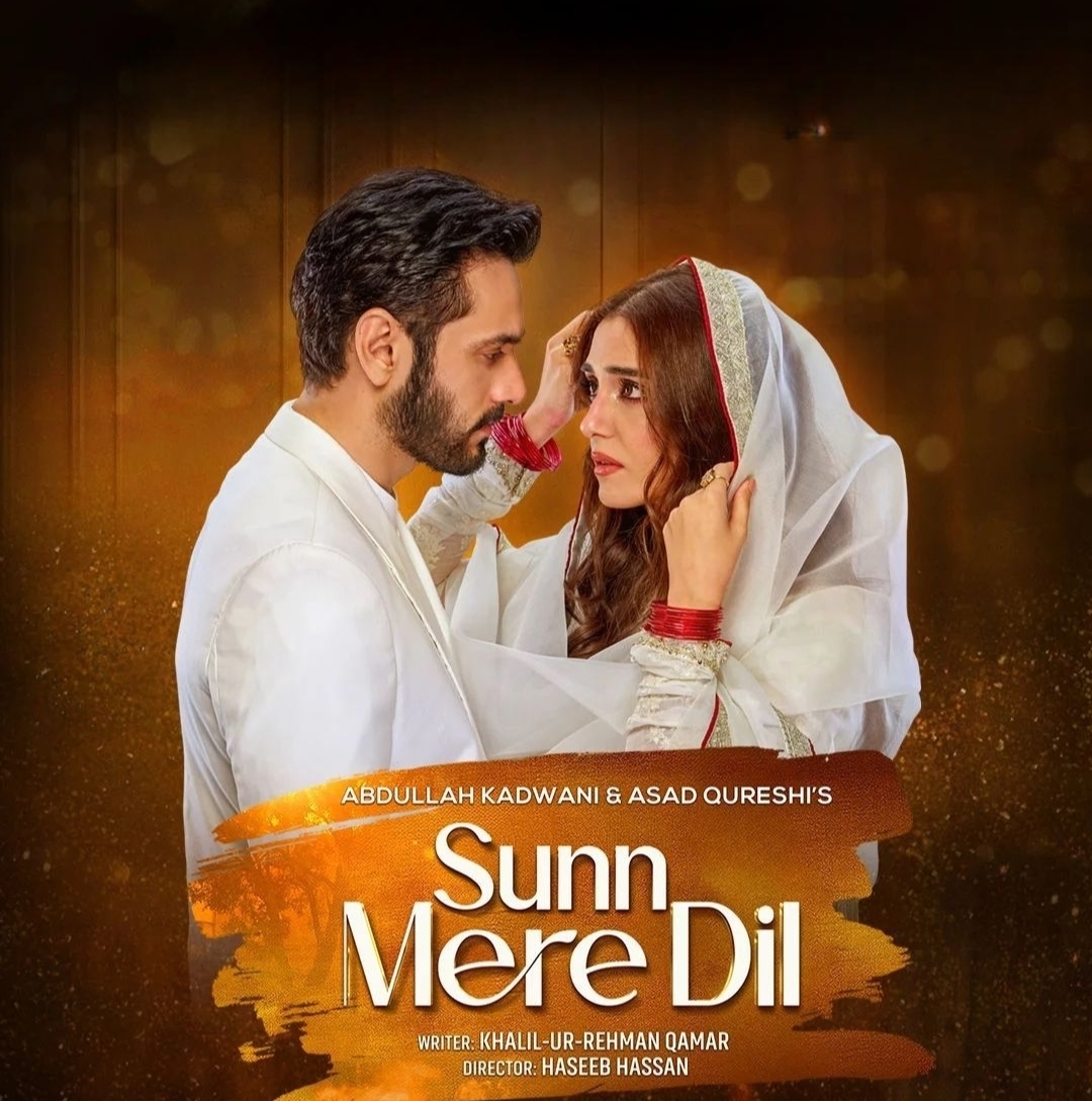 20 Most Watched Pakistani Dramas of 2024 | Reviewit.pk