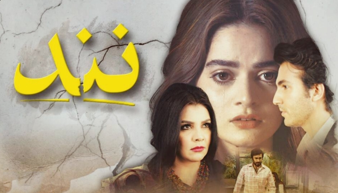 Is Aapa Shameem Part 2 of Drama Serial Nand | Reviewit.pk