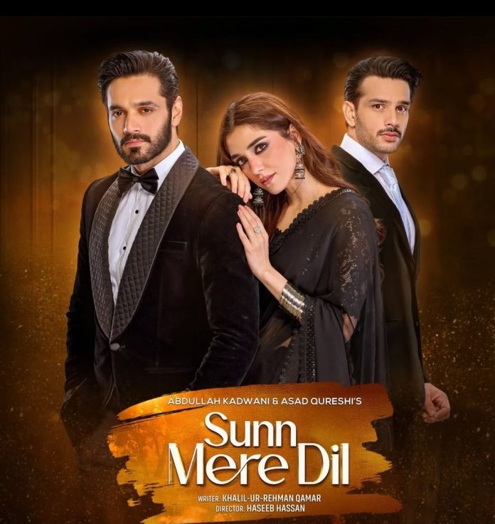 Sunn Mere Dil Last Episode Public Reaction | Reviewit.pk