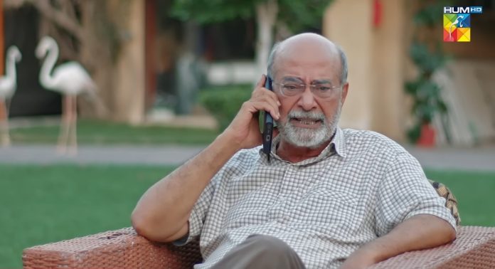 Judwaa Cast Schedule and Timings | Reviewit.pk