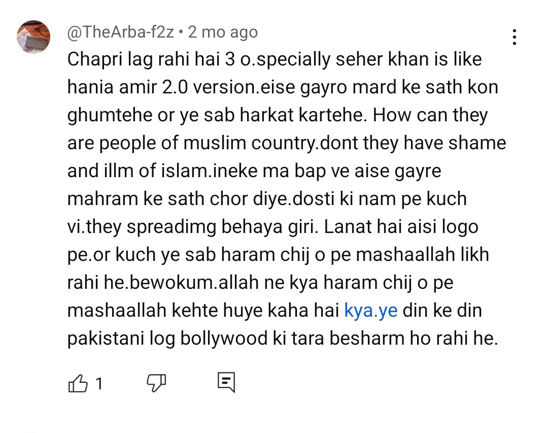 Sehar Khan Zainab Shabbir Vacation With Usama Khan Under Scrutiny