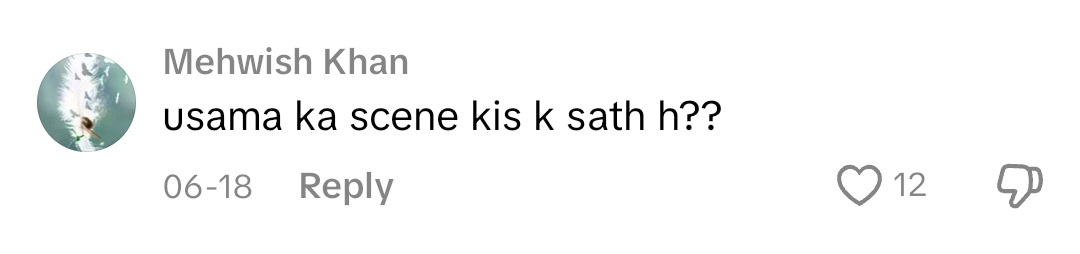 Sehar Khan Zainab Shabbir Vacation With Usama Khan Under Scrutiny