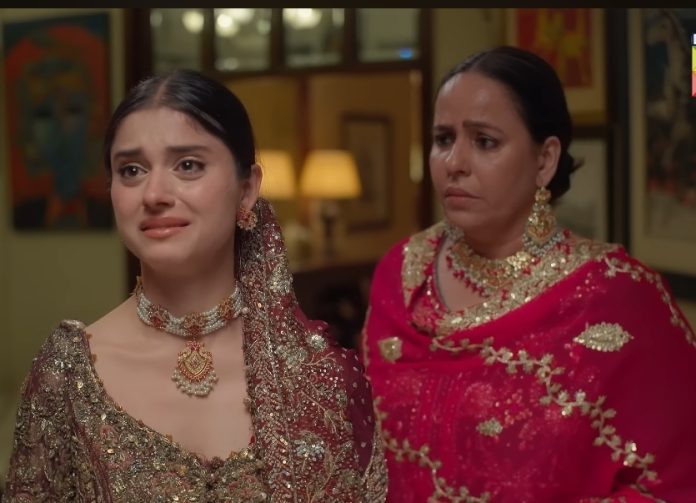 Meri Tanhai Last Episode Public Reaction | Reviewit.pk