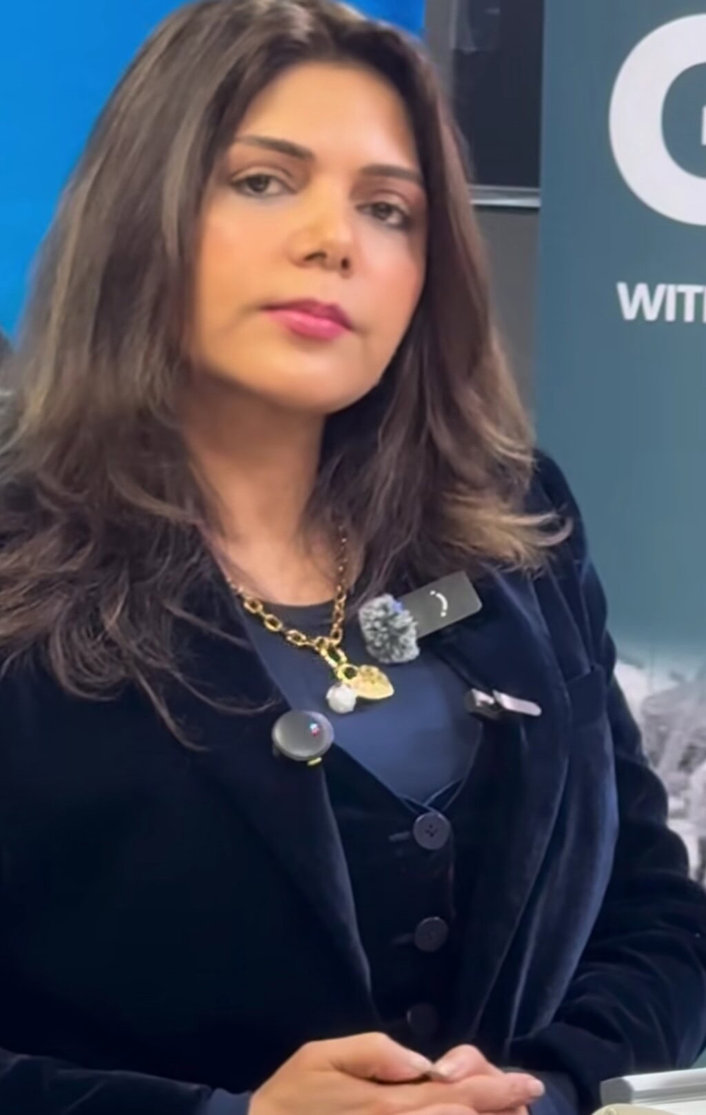 Hadiqa Kiani On Not Being Part of Pakistan Idol | Reviewit.pk