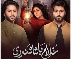 Ghulam Basha Sundari Last Episode - Viewers' Suggestions | Reviewit.pk